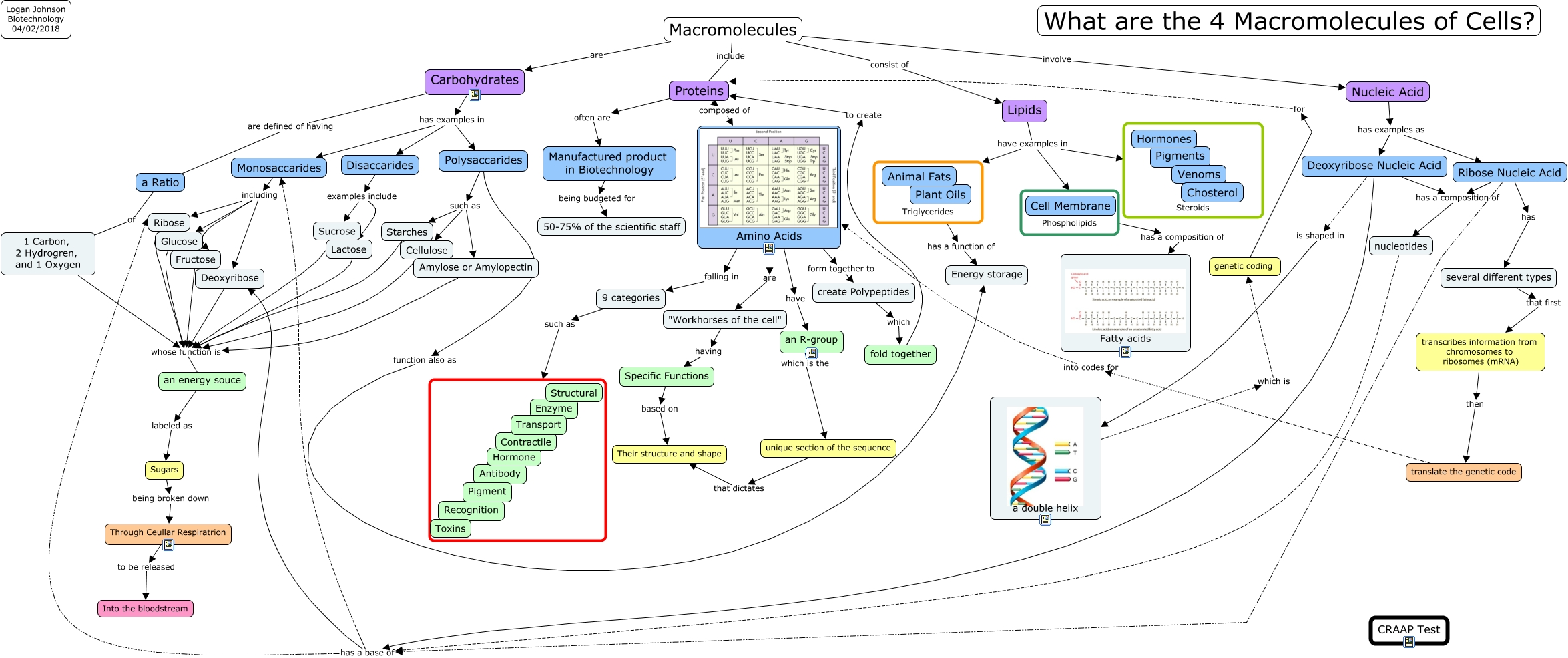 Macromolecules Chapter 2 cMap